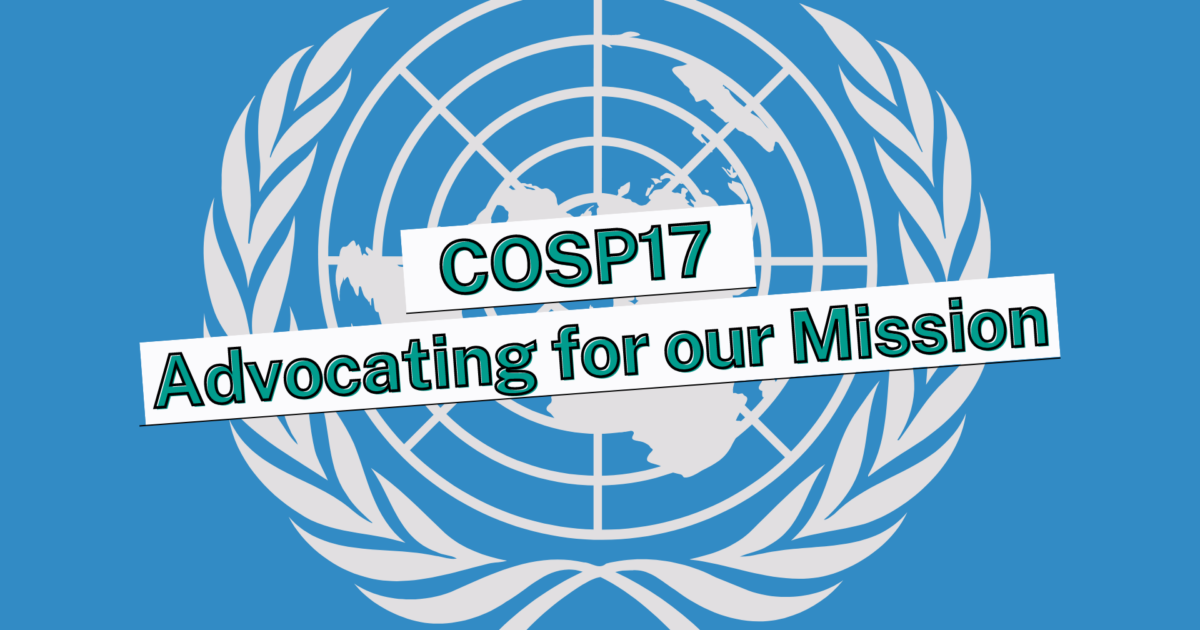 17th session of the Conference of States Parties to the CRPD (COSP17 ...