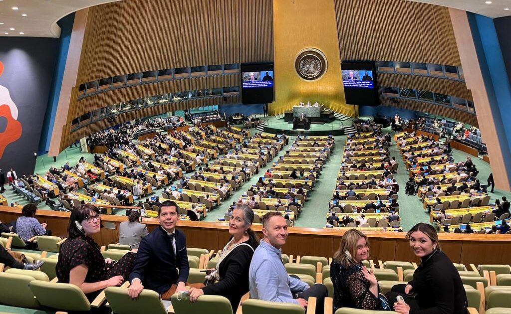 Inclusion at the 15th Conference of State Parties - Inclusion International